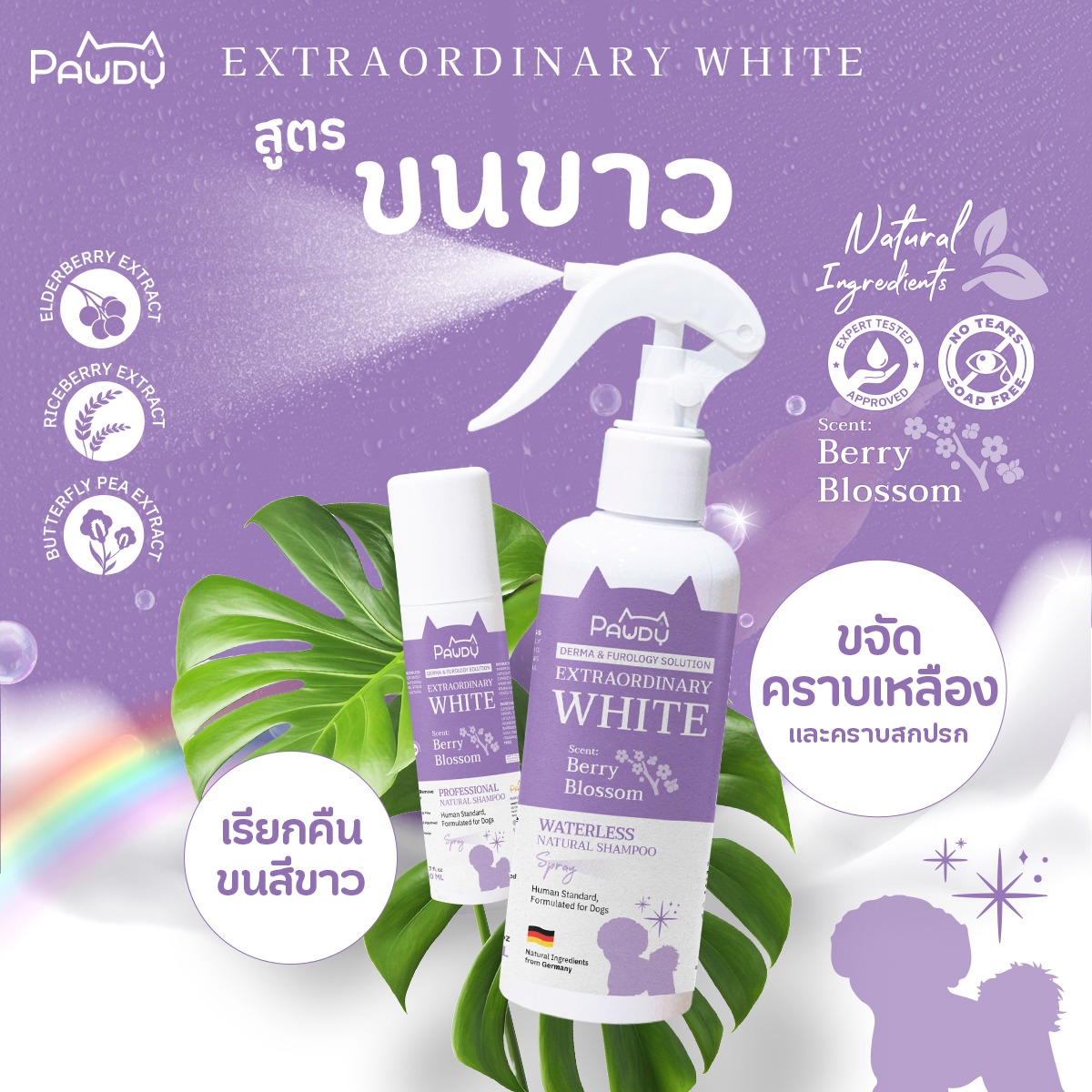 Pawdy Spray EXTRAORDINARY WHITE พอดี้ สเปรย์อาบแห้ง สูตรขนขาว - Pawdy ...