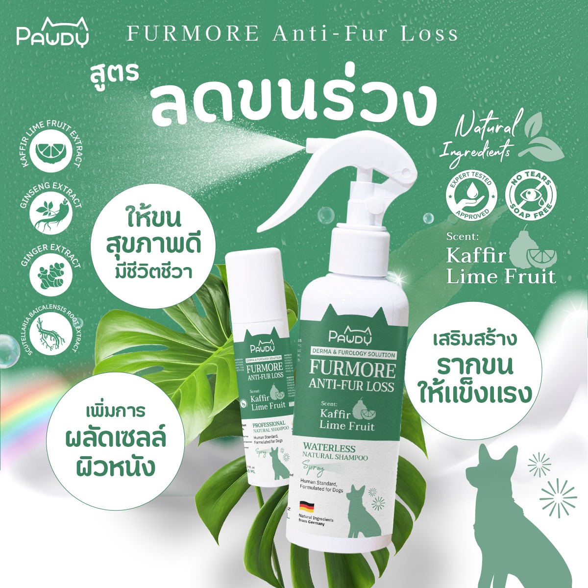 Pawdy Spray FURMORE Anti-Fur Loss พอดี้ สเปรย์อาบแห้ง สูตรลดขนร่วง ...