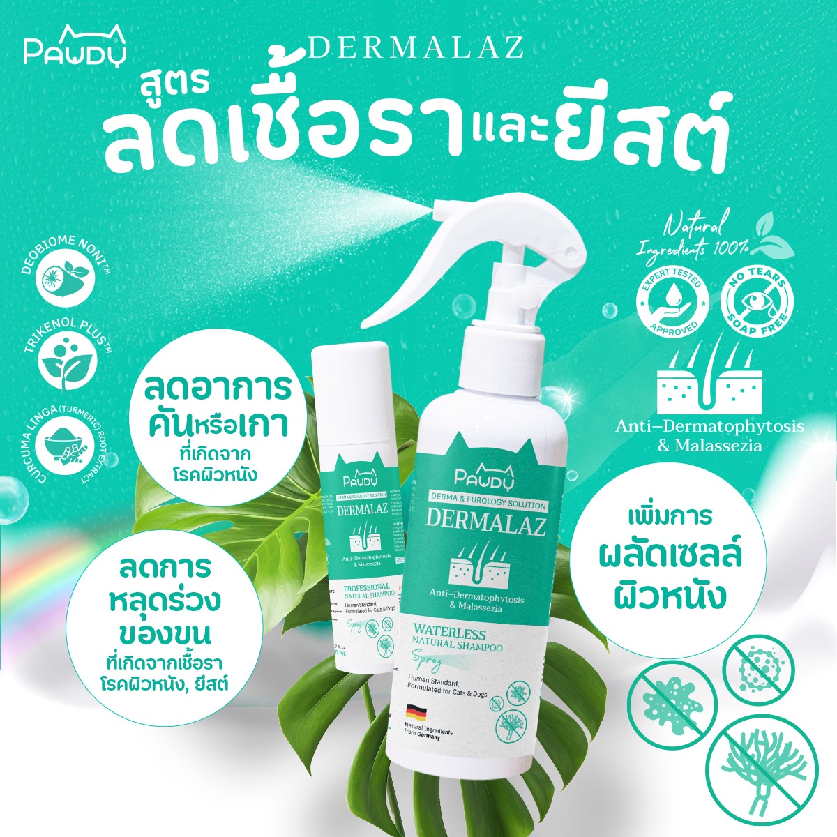 Pawdy Spray DERMALAZ พอดี้ สเปรย์อาบแห้ง สูตรลดเชื้อราและยีสต์ - Pawdy ...