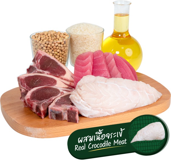 Senior 7+ อาหารสุนัขสูงวัย เกรดพรีเมี่ยม สำหรับน้องหมาแก่