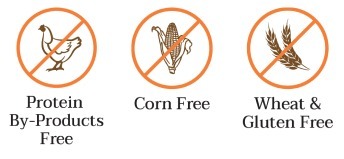 Pawdy Maturity Senior 7+ อาหารสุนัขแก่หรือสุนัขสูงวัย