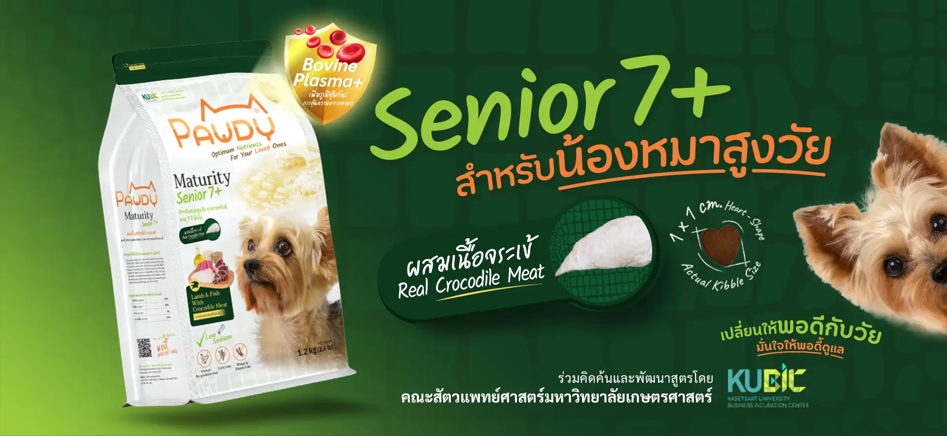Senior 7+ อาหารสุนัขสูงวัย เกรดพรีเมี่ยม สำหรับน้องหมาแก่