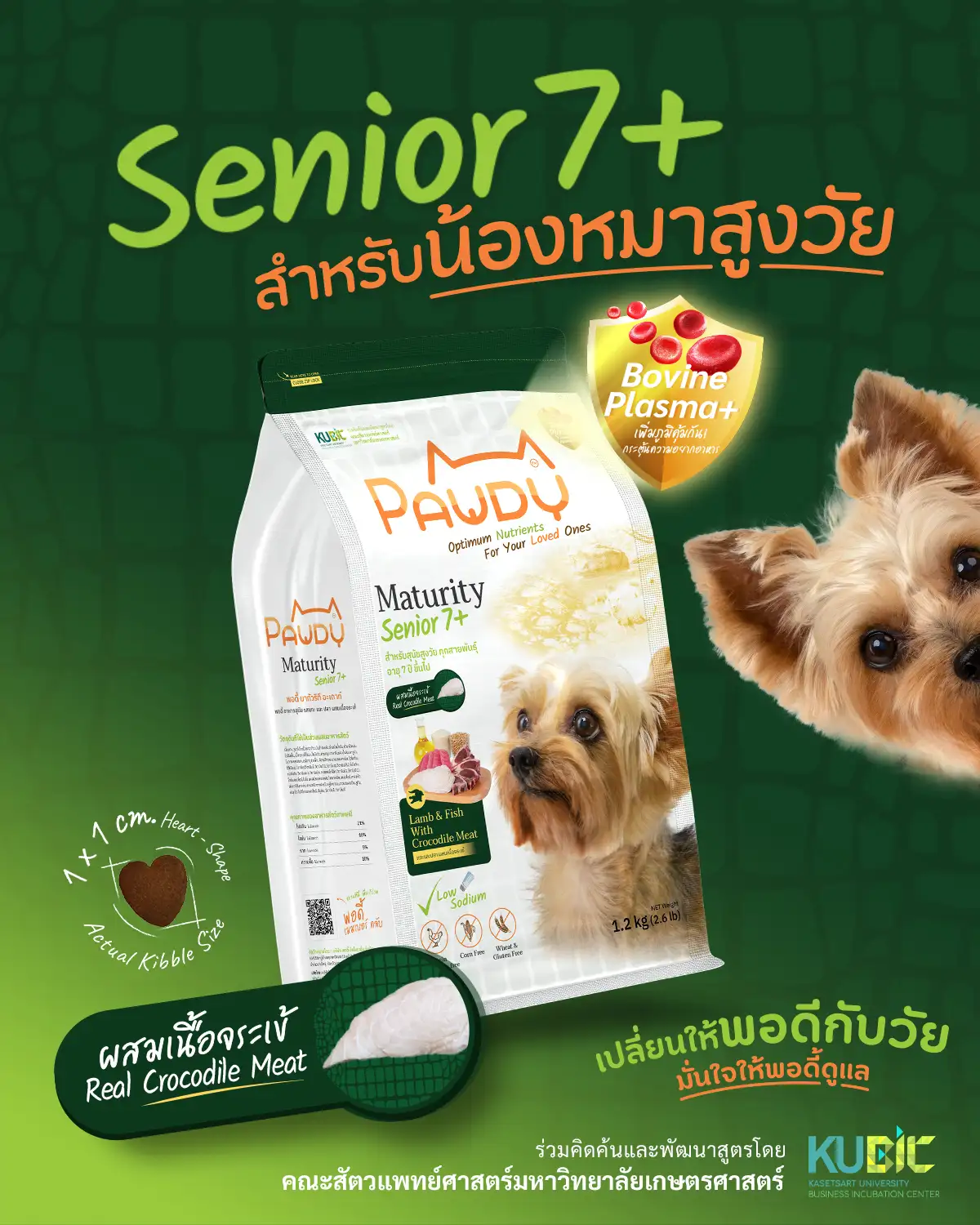 Senior 7+ อาหารสุนัขสูงวัย เกรดพรีเมี่ยม สำหรับน้องหมาแก่